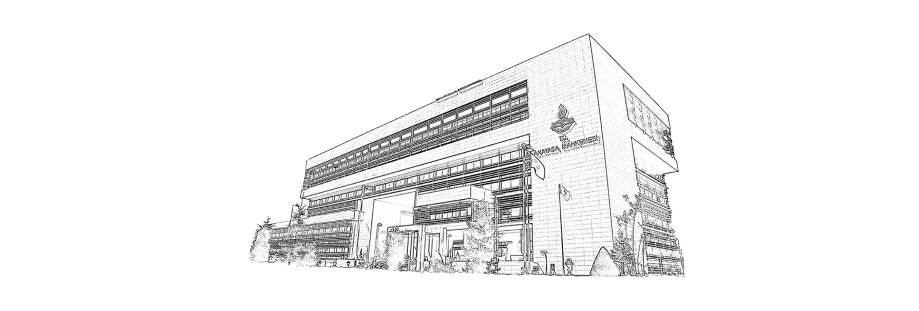 Practice Areas | MCT Law & Consultancy